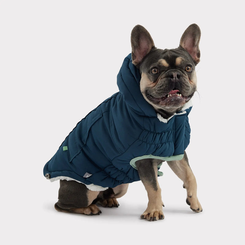 Arctic Dog Parka | Dark Teal - GF Pet Official Online Store