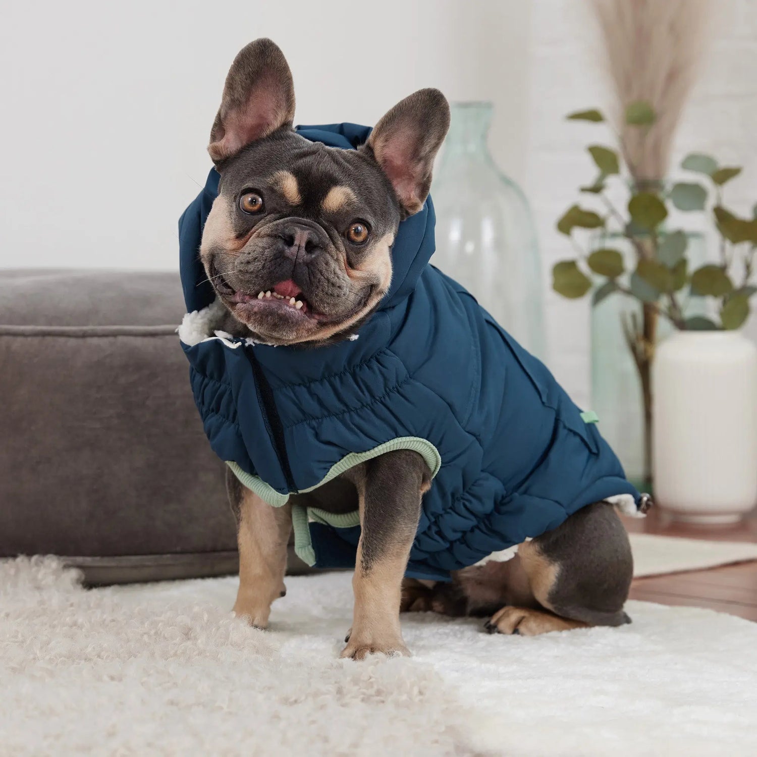 Arctic Dog Parka | Dark Teal - GF Pet Official Online Store