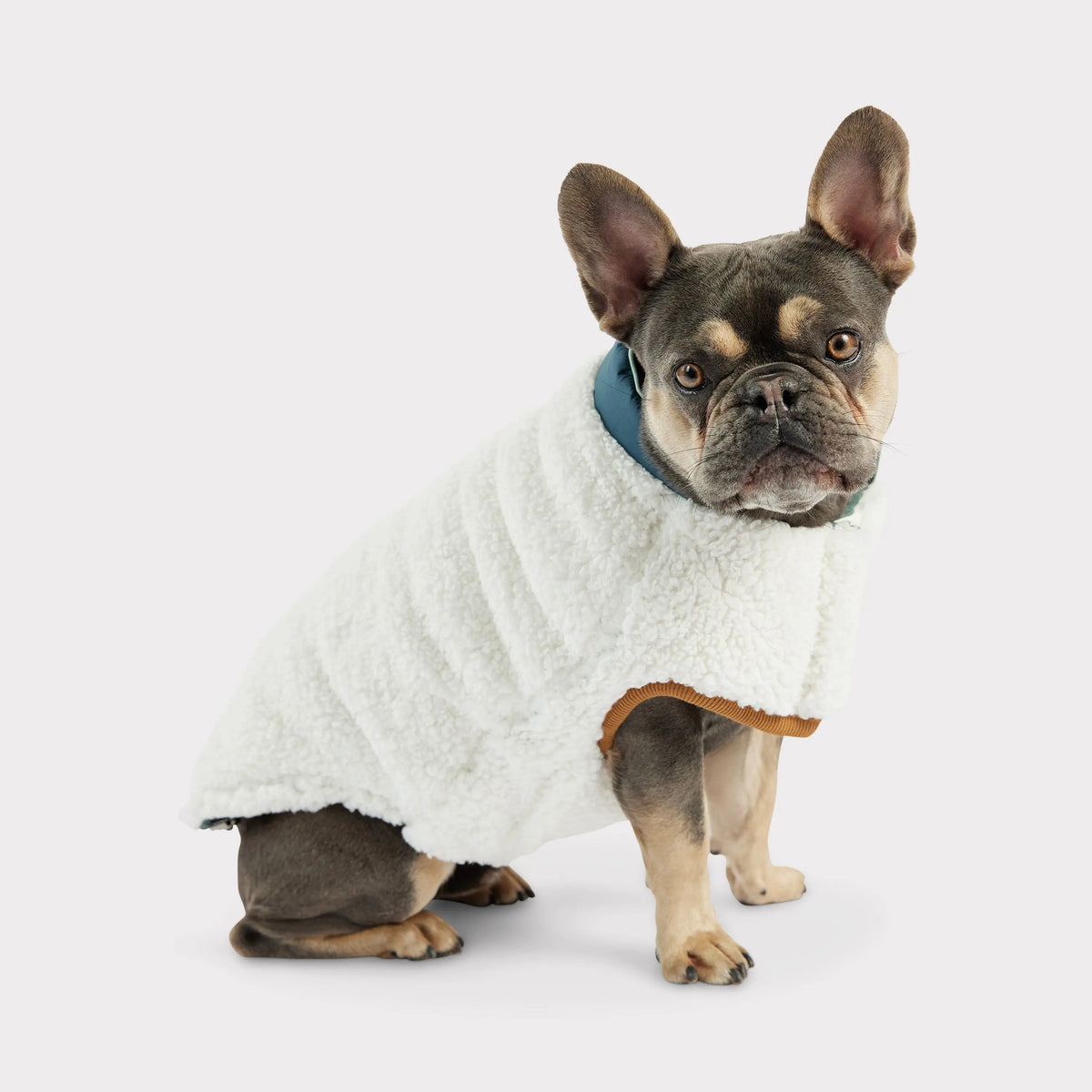 Camplife Dog Puffer | Sage - GF Pet Official Online Store