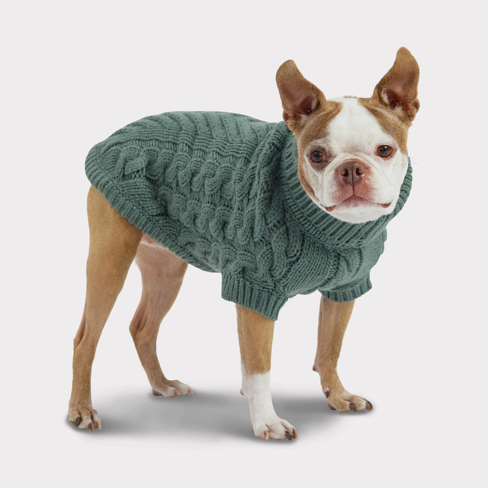 GF Pet Dog Sweater Chalet Sweater - Sage Green Cable Knit for Dogs