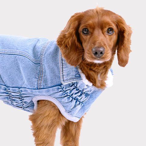 GF Pet® Trekking Dog Sweater — Red — Winter Sweaters for Dogs