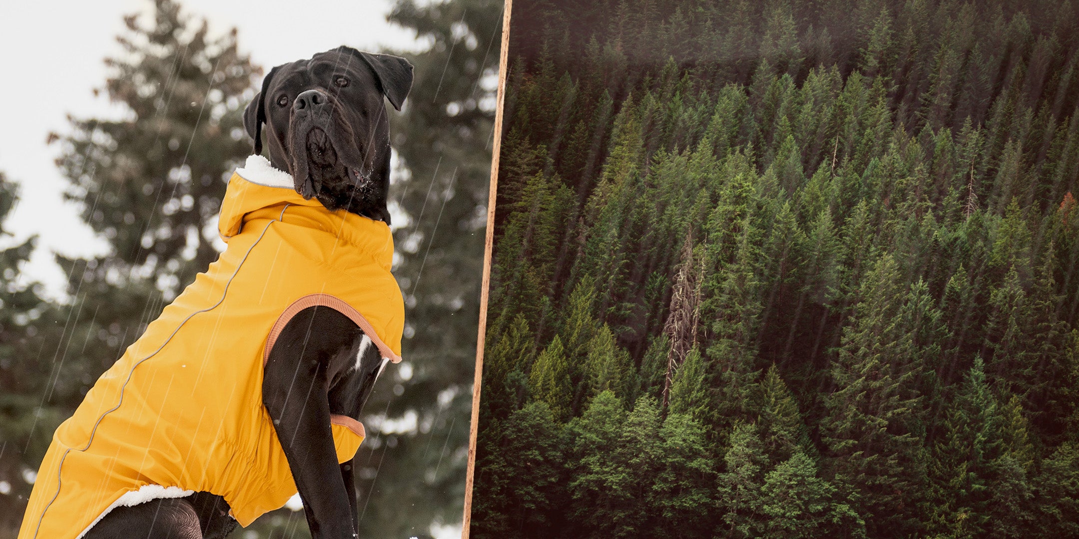 GF PET® Official Online Store — Dog Clothes & Accessories