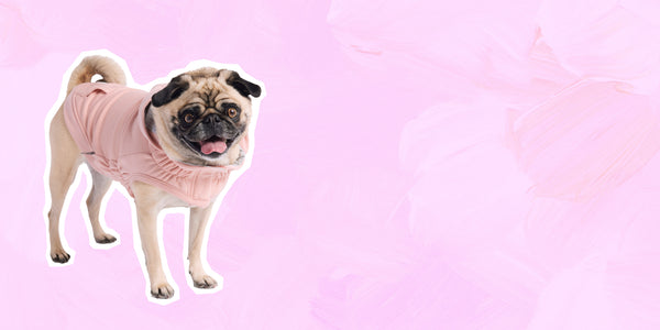 GF PET® Official Online Store — Dog Clothes & Accessories