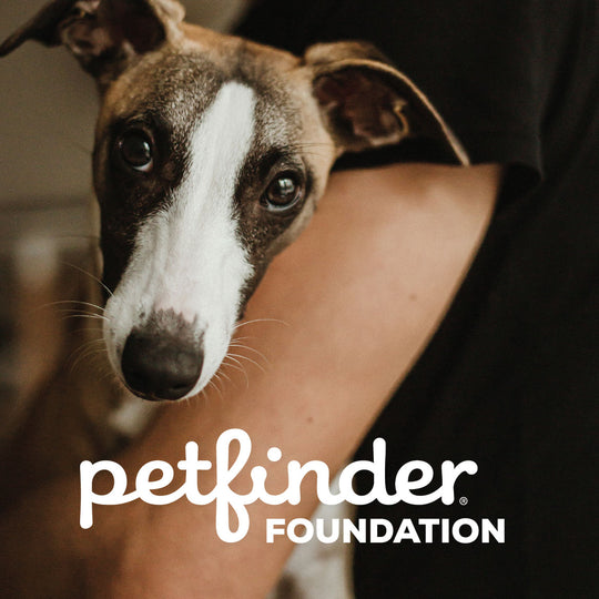 GF PET® Official Online Store — Dog Clothes & Accessories