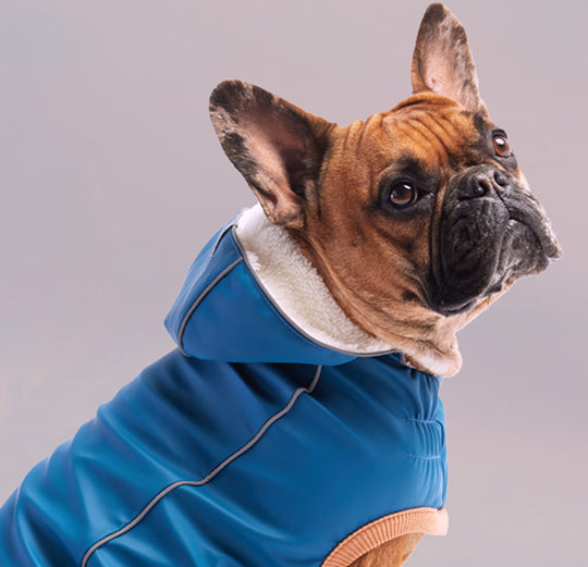 Dog Raincoat with Hood — Neon Yellow and Tie-Dye | GF Pet®