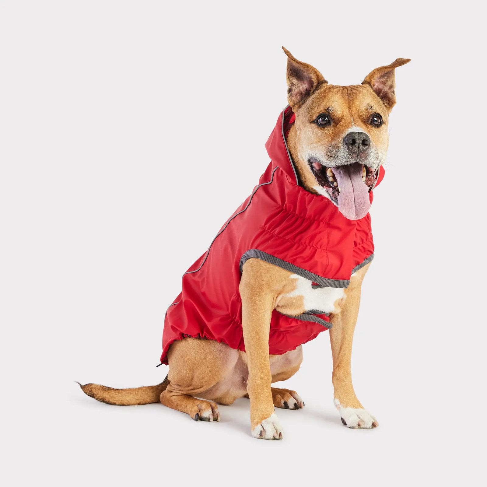 Dog Raincoat with Hood — Red & Abstract | GF Pet®