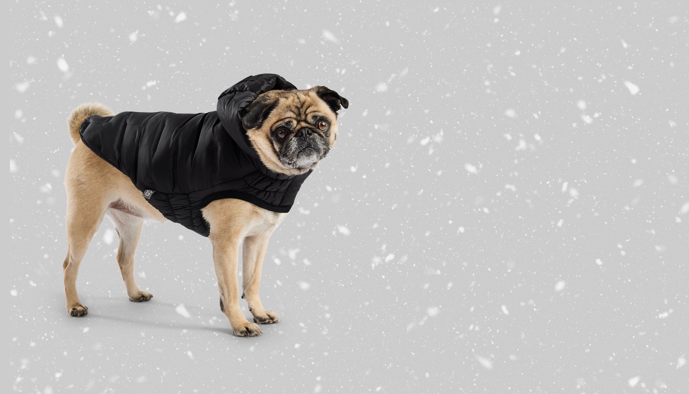 Cozy Dog Hoodie | Off White | GF Pet Official Online Store