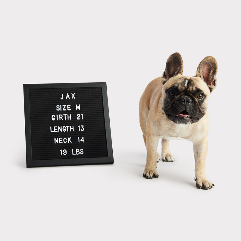 Sizing: How To Measure Your Dog | Gf Pet® Official Online Store