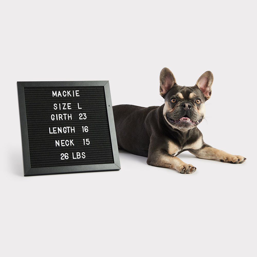 Sizing: How To Measure Your Dog | Gf Pet® Official Online Store