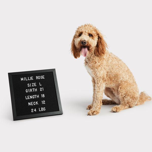 Sizing: How To Measure Your Dog | Gf Pet® Official Online Store
