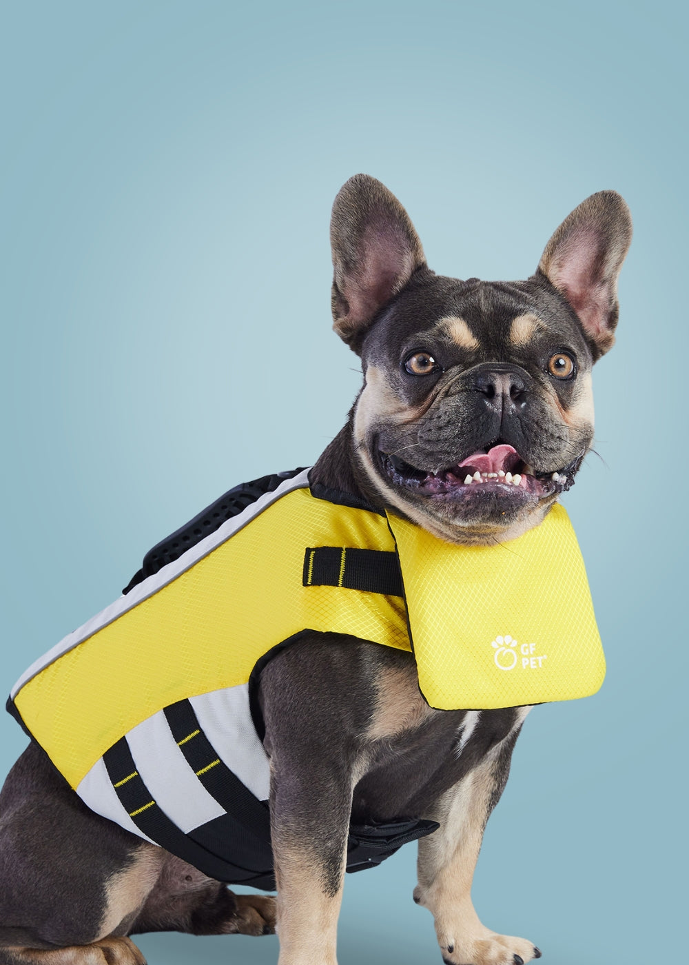 GF PET® Official Online Store — Dog Clothes & Accessories