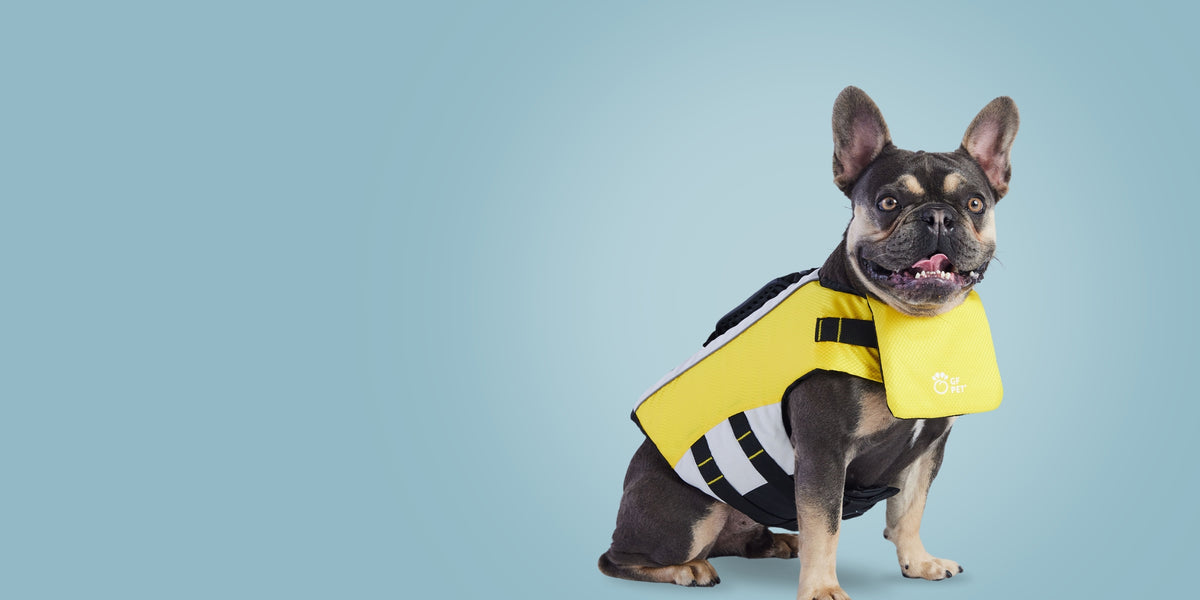 GF PET® Official Online Store — Dog Clothes & Accessories