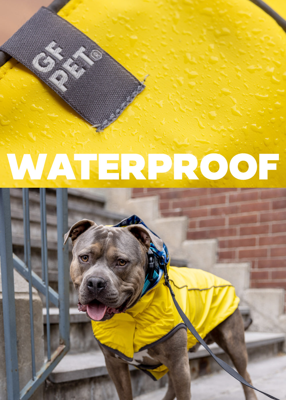 GF PET® Official Online Store — Dog Clothes & Accessories