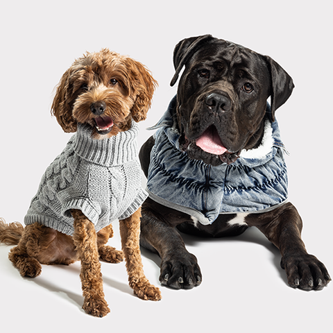 GF PET® Official Online Store — Dog Clothes & Accessories