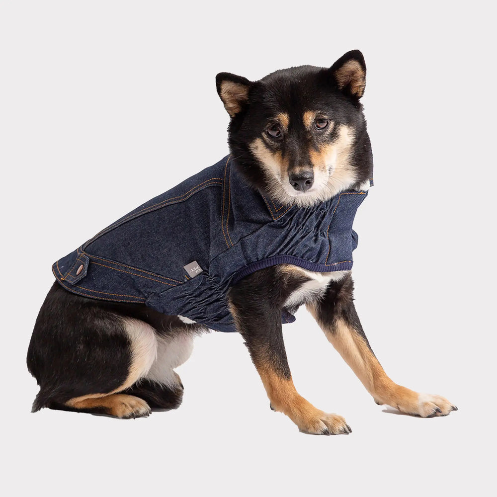 Denim Dog Jacket - Dark Wash - GF Pet Official Online Store