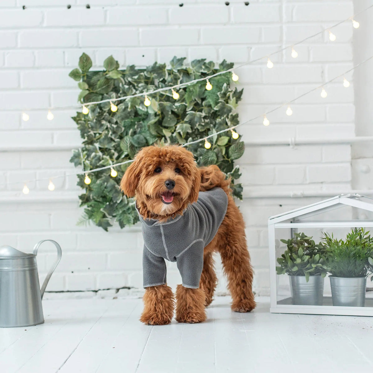 Gondola Base Layer for Dogs | Charcoal - GF Pet Official Online Store