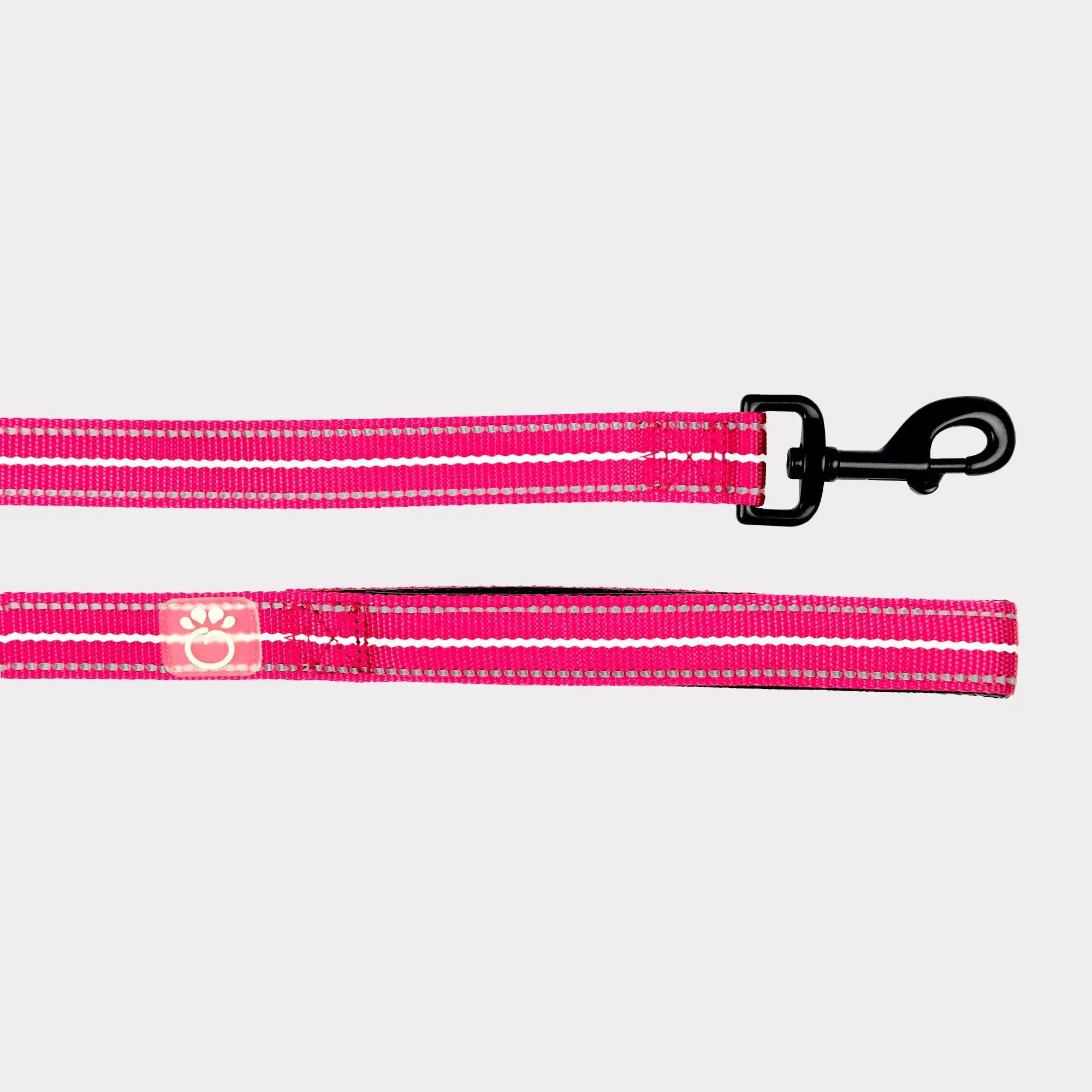 Reflective leashes and collars store