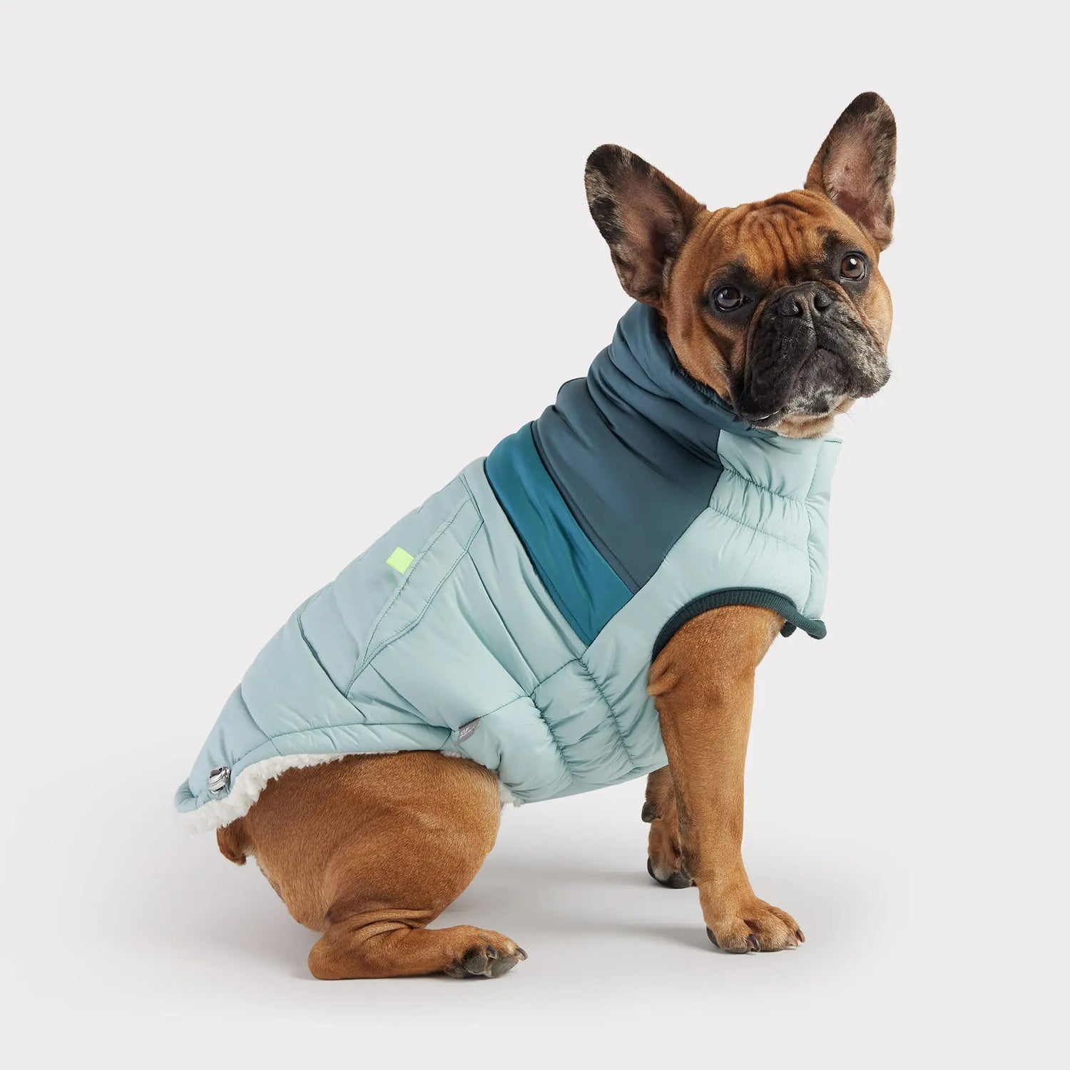 Retro Dog Puffer Winter Dog Jacket | Light Blue | GF Pet Online Store