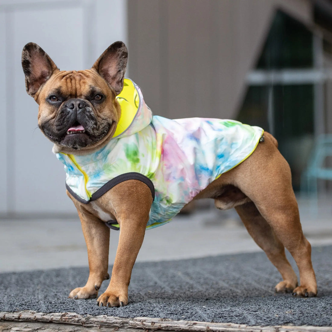 Dog Raincoat with Hood — Neon Yellow and Tie-Dye | GF Pet®
