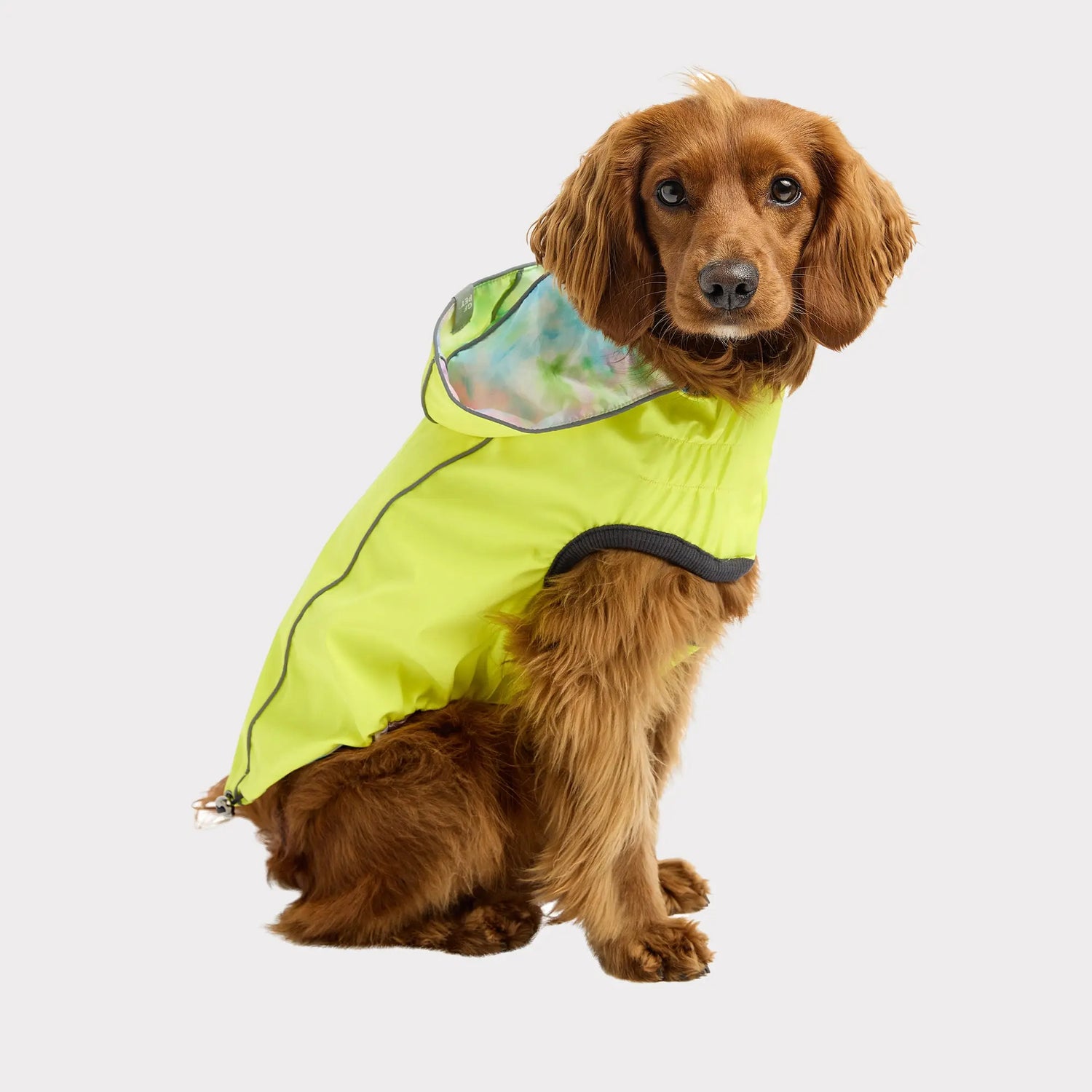 Dog Raincoat with Hood — Neon Yellow and Tie-Dye | GF Pet®