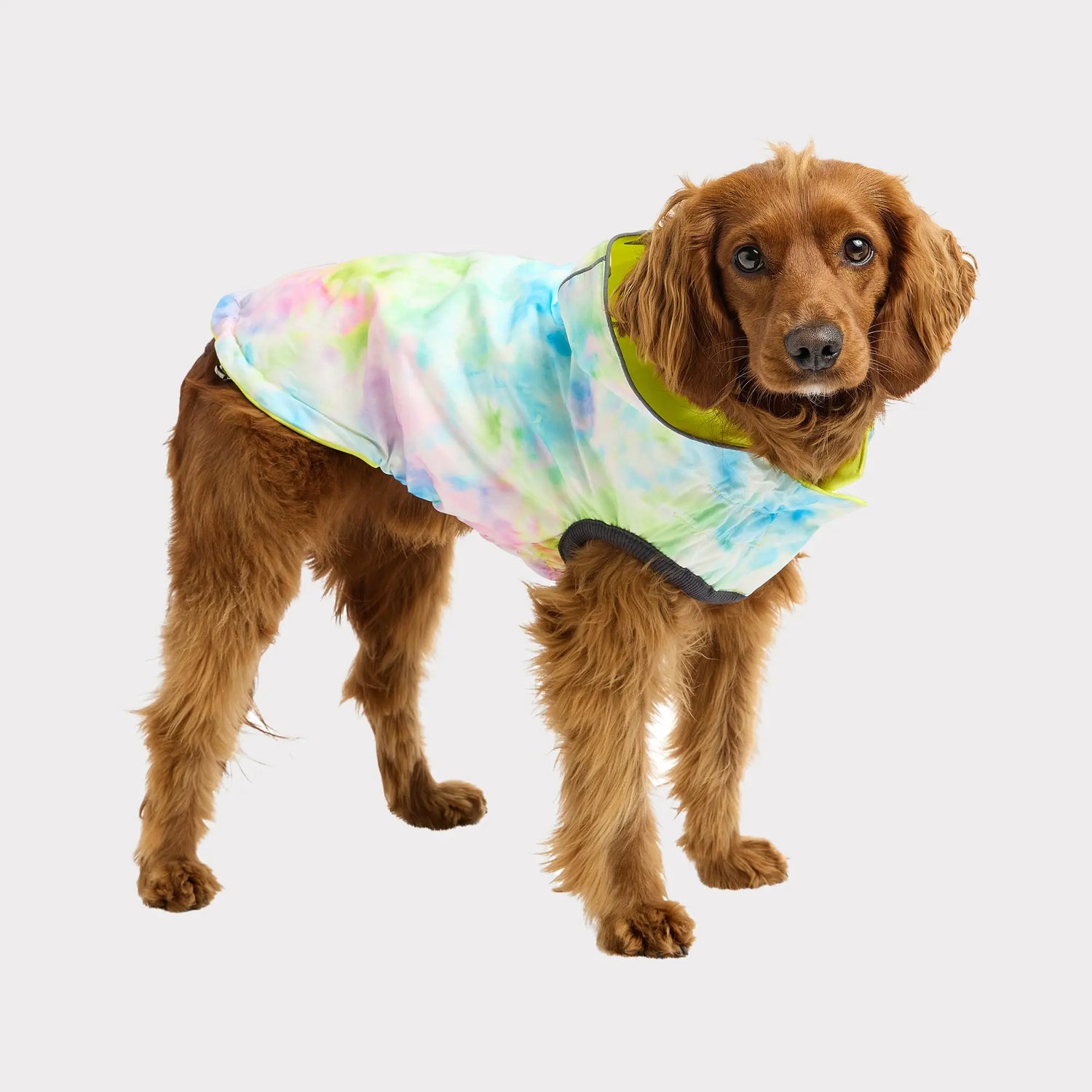 Dog Raincoat with Hood — Neon Yellow and Tie-Dye | GF Pet®