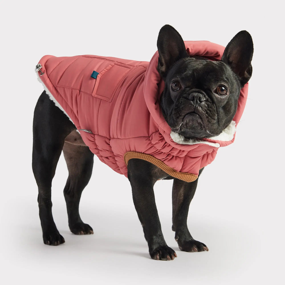 The Puff Dog Parka Winter Dog Coat - Pink | GF Pet Online Store