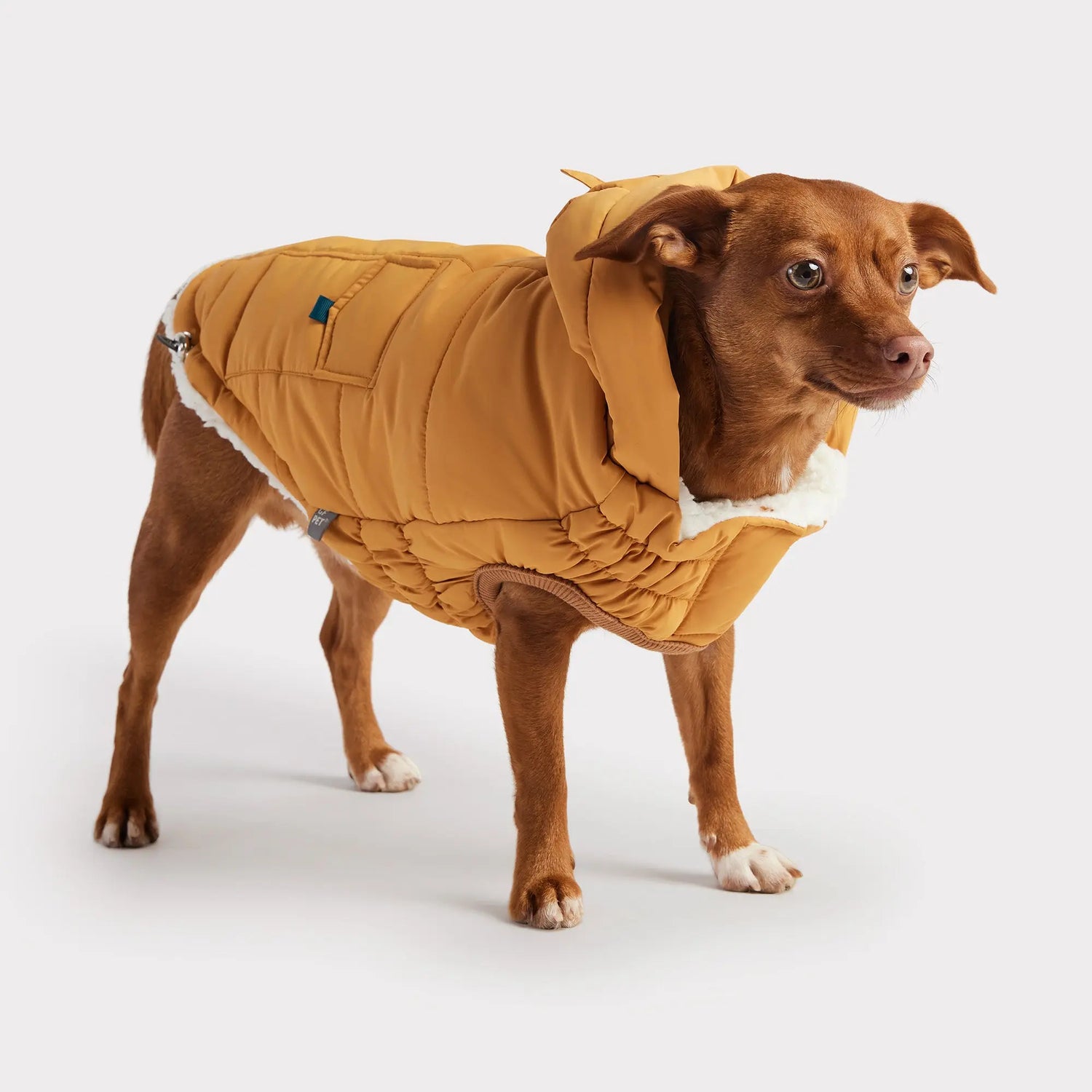 The Puff Dog Parka Winter Dog Coat - Yellow | GF Pet Online Store