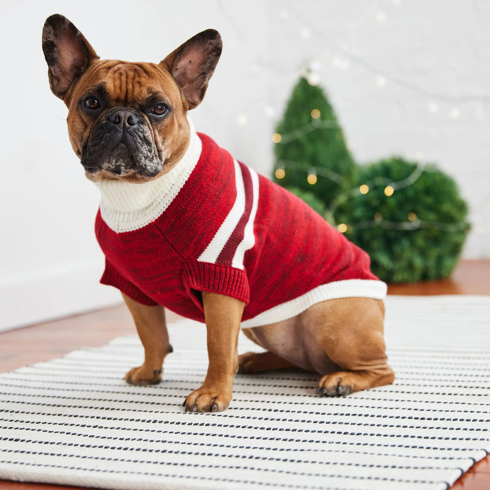 GF Pet® Trekking Dog Sweater — Red — Winter Sweaters for Dogs