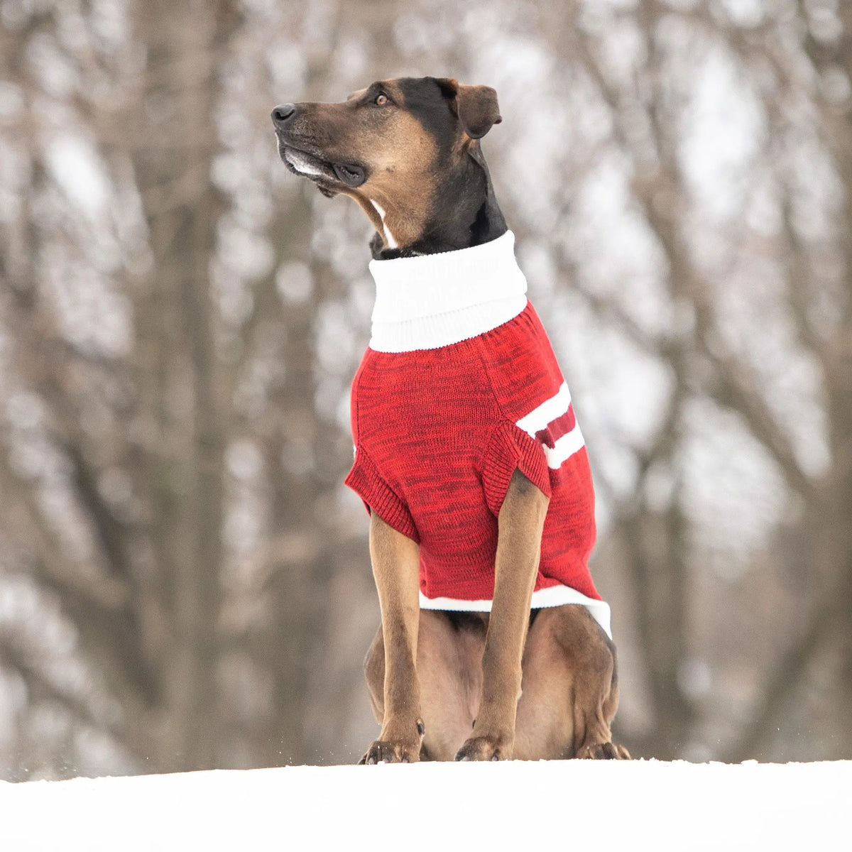 GF Pet® Trekking Dog Sweater — Red — Winter Sweaters for Dogs